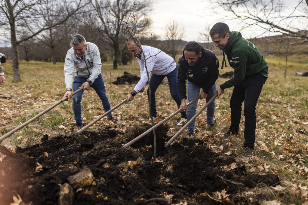 (C/ vídeo) Rali Terras D’Aboboreira com diversas novidades - VMotores